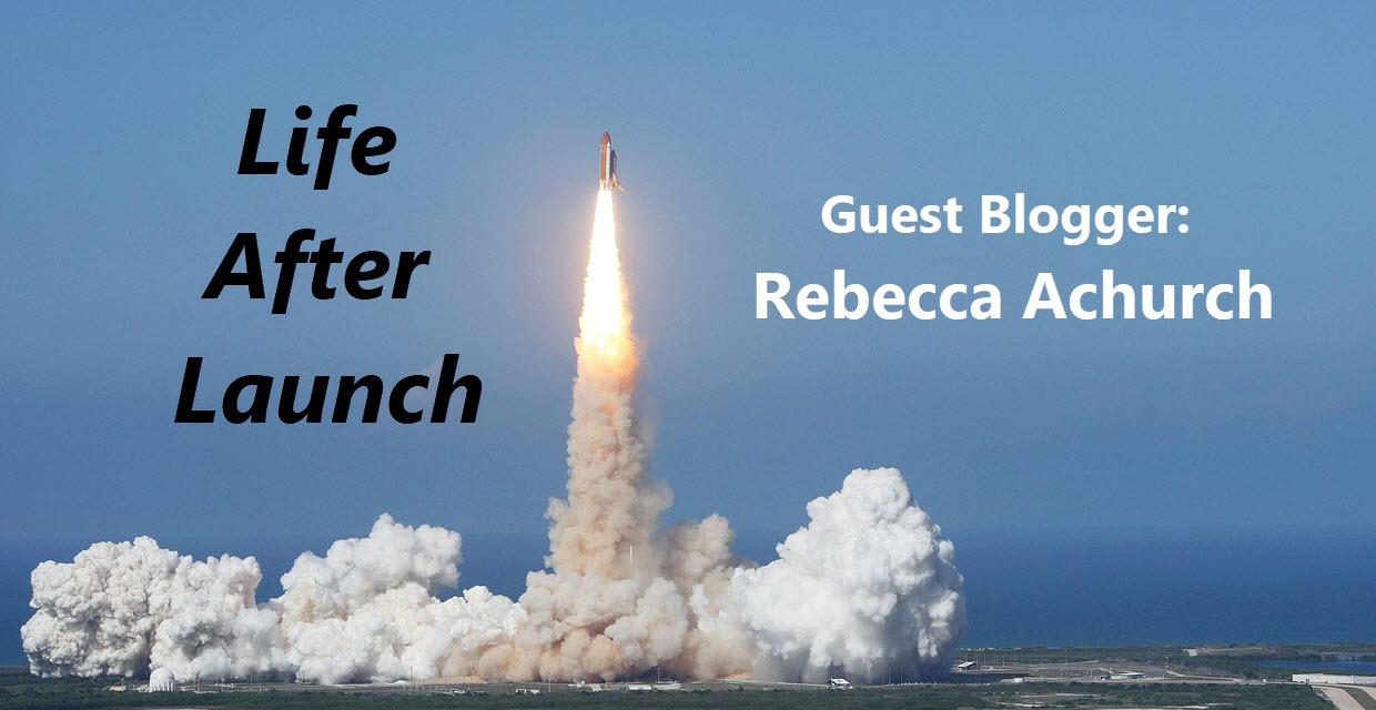 Guest Blog Life After Launch Altai Systems Ams Platform